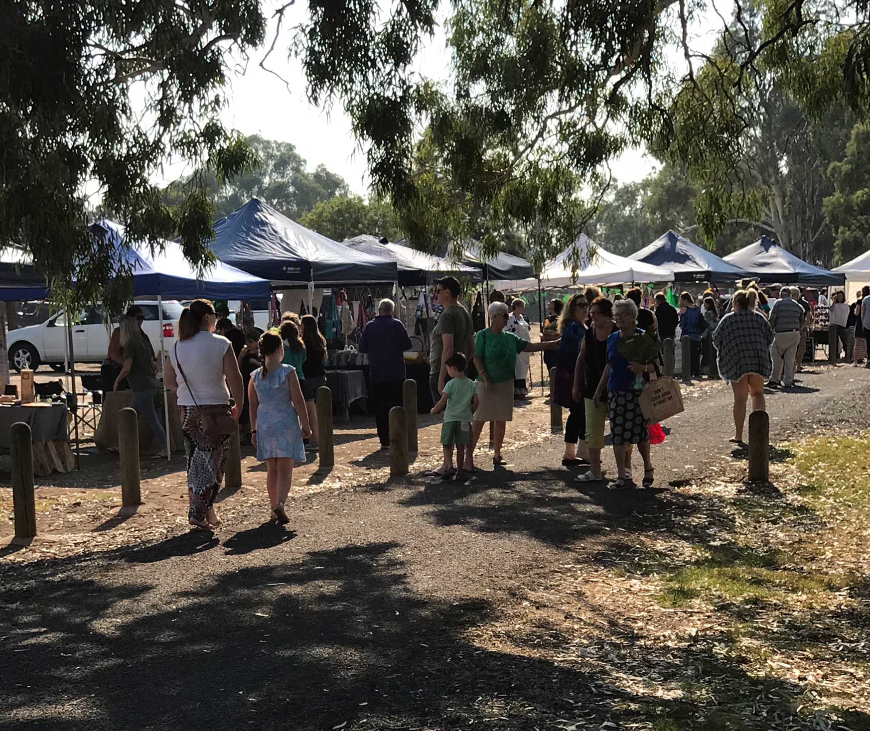 Horsham Agricultural Society | Horsham Show 2020