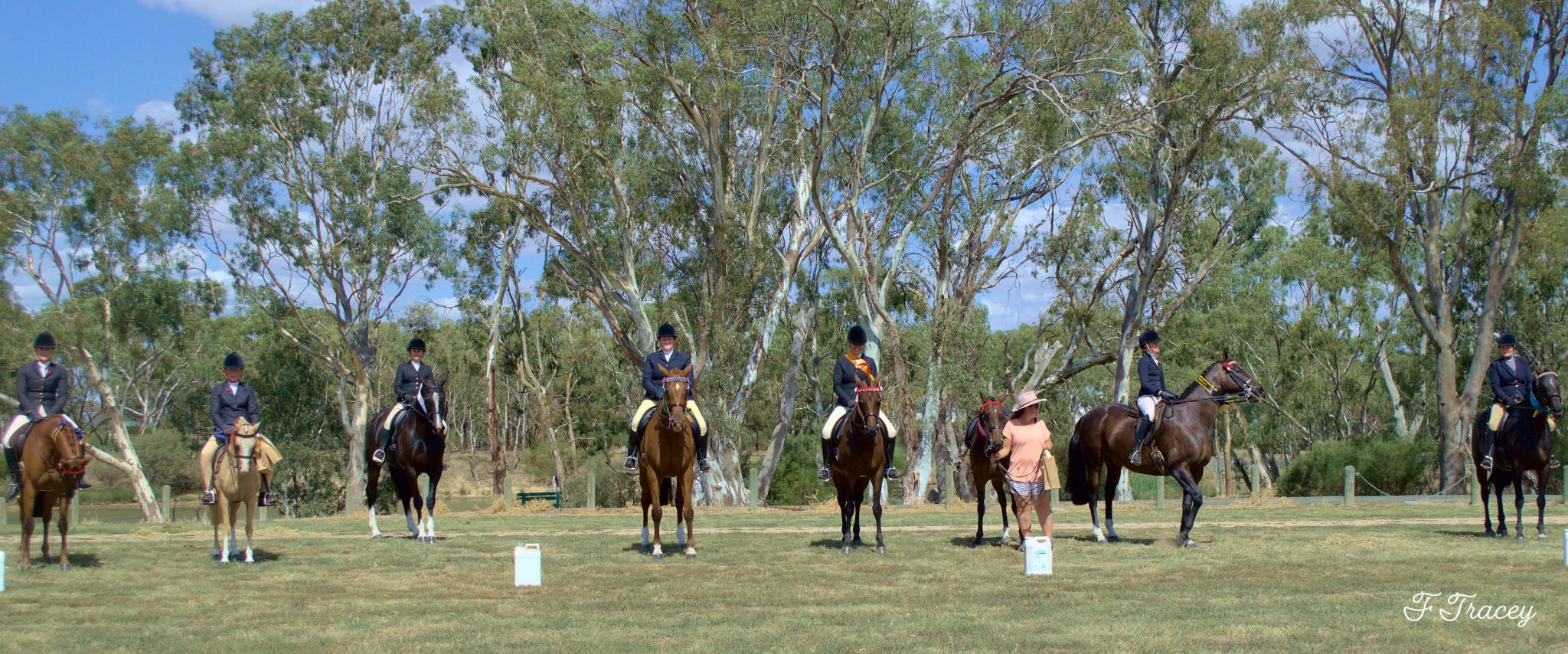 Horsham Agricultural Society | Horse Show