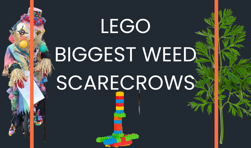 Horsham Agricultural Society | Competitions